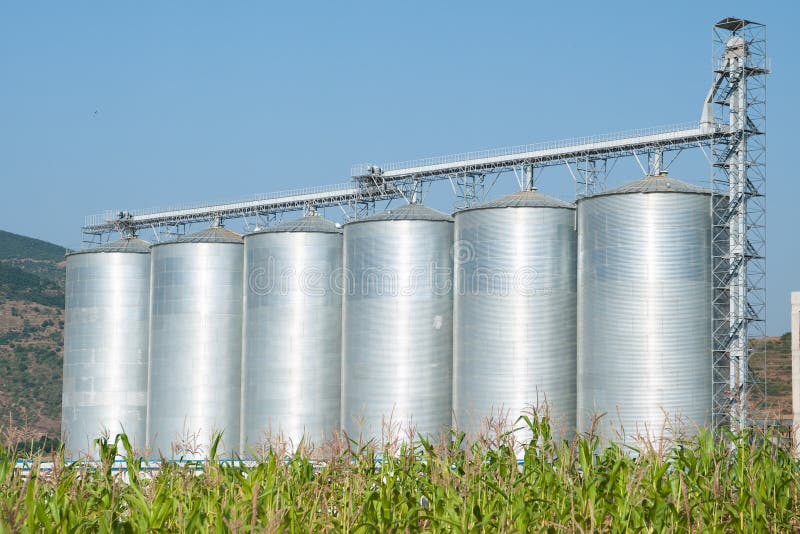 Brock Brand Grain Silos with Tall Summer Corn Field Editorial Photo ...