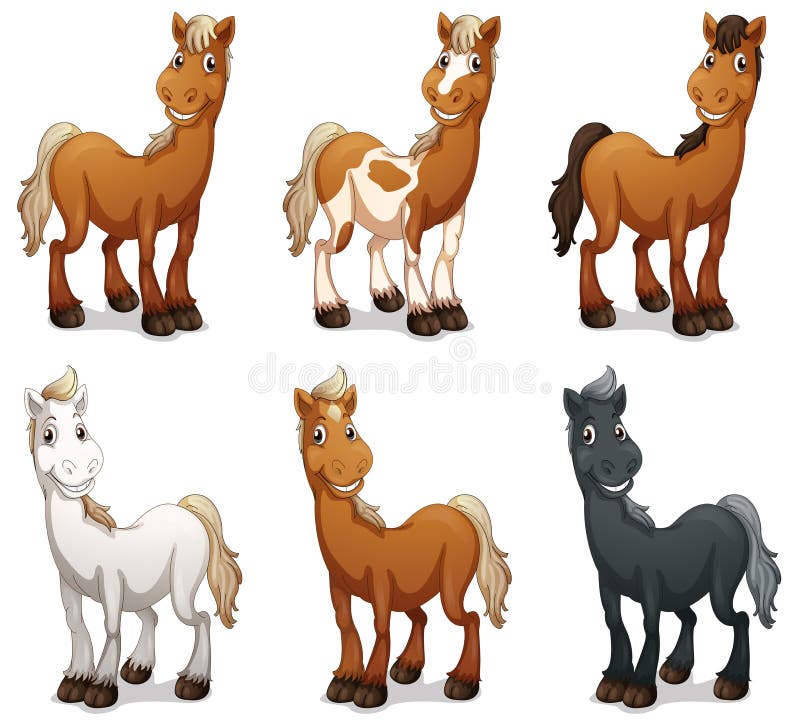 Six smiling horses stock illustration. Illustration of graphic - 34518829