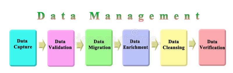 Steps of Data Management stock photo. Image of enrichment - 146326984