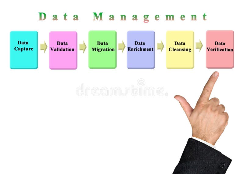 Steps of Data Management stock image. Image of cleansing - 146326985