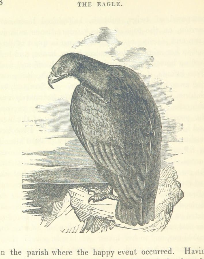 British Library Digitised Image From Page 84 Of "Six Thousand Years Ago ...