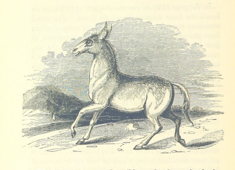 British Library Digitised Image From Page 120 Of "Six Thousand Years ...