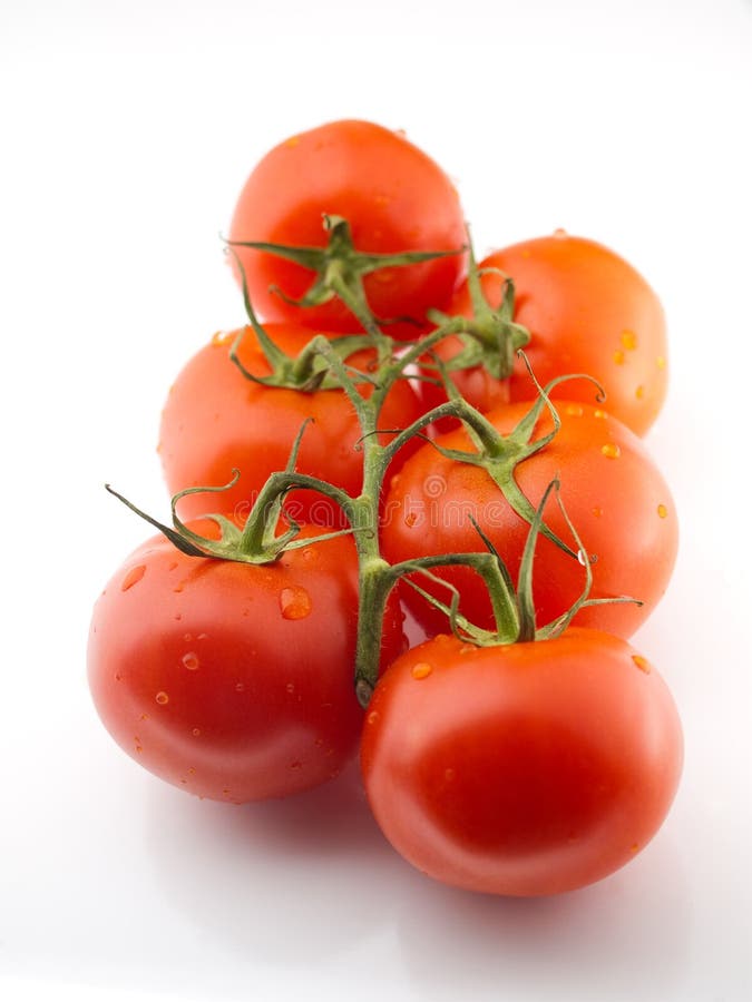Six tomatoes stock image. Image of diet, food, stem, white - 12076767