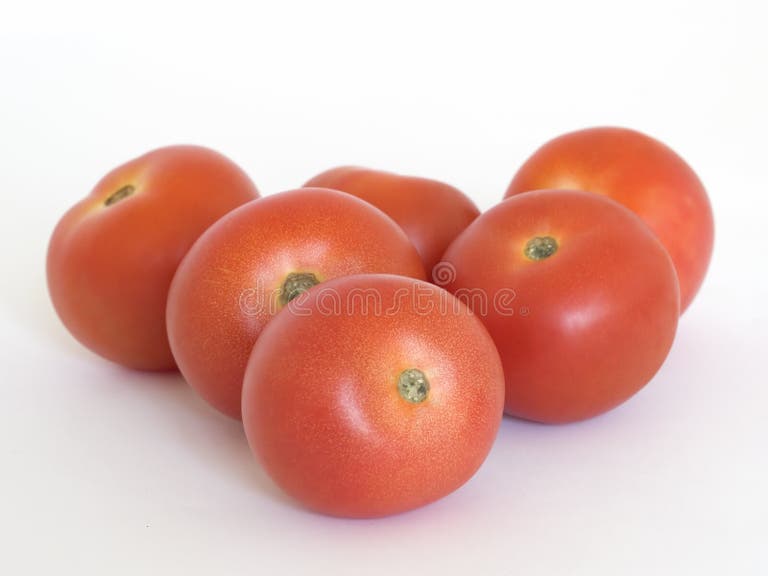 Six Tomatoes stock image. Image of white, fruit, ingredient - 141983