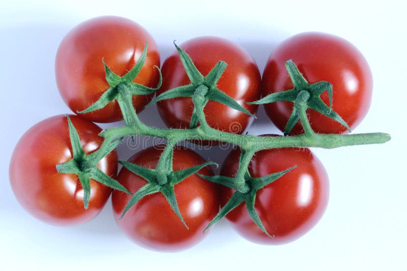 Six tomatoes stock image. Image of white, cherry, background - 105994849