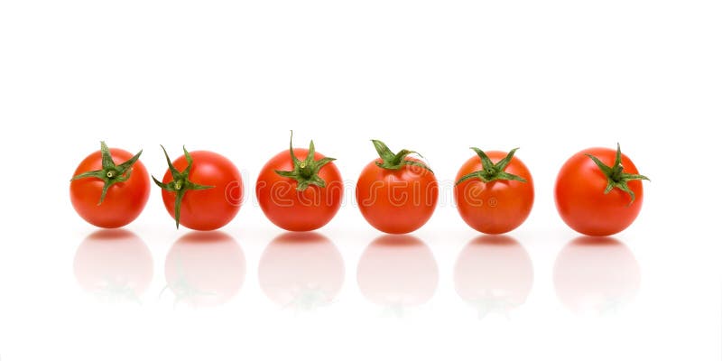 Maturing tomatoes stock photo. Image of colour, fertilize - 3310790