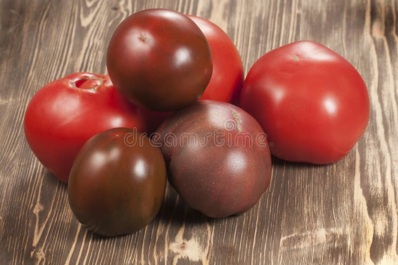 Six tomatoes stock image. Image of color, green, vegetable - 44155943