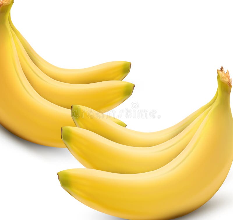 Six Vector Bananas on White Background Stock Vector - Illustration of ...