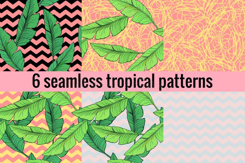 Six Vector Seamless Tropical Patterns Stock Vector - Illustration of ...