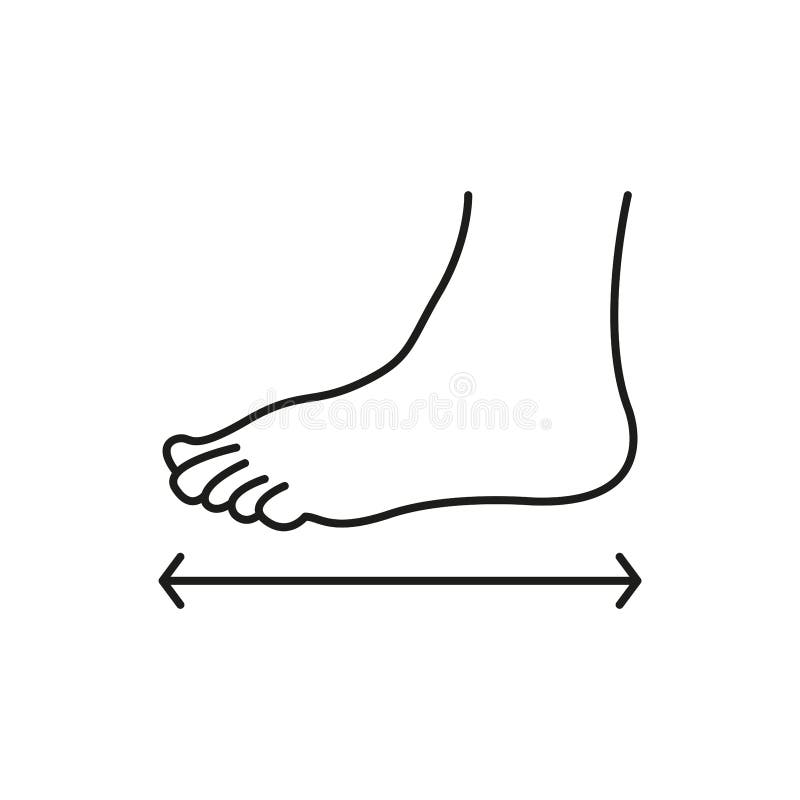 Leg Size Measurement Stock Illustrations – 310 Leg Size Measurement ...