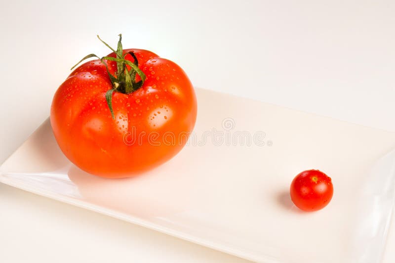 Size matters stock image. Image of difference, concept - 29250835