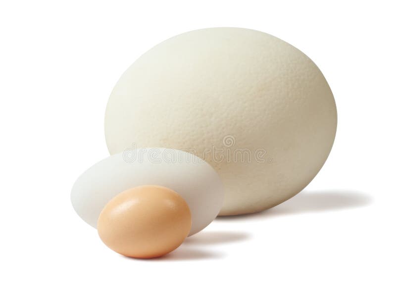 176 Small Sized Objects Stock Photos - Free & Royalty-Free Stock Photos ...