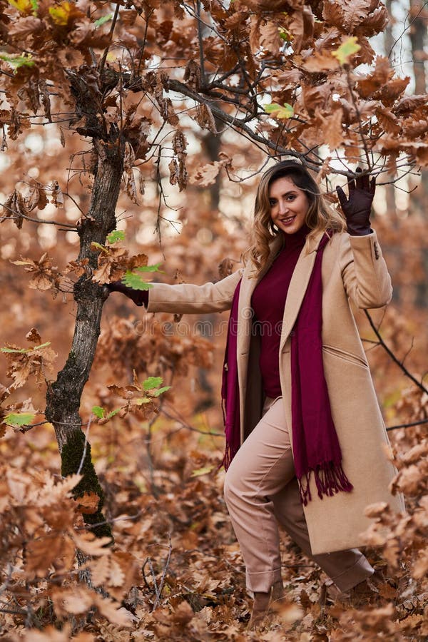 Size Plus Woman in a Forest in the Autumn Stock Photo - Image of ...