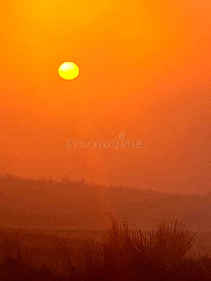 Sizzling Morning Sun stock photo. Image of sizzling - 168075210