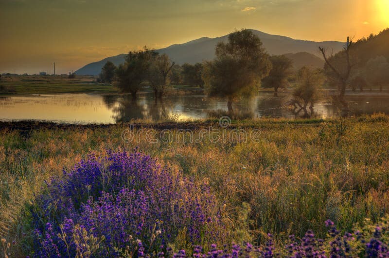 3,345 Sommarbild Foton - Gratis och royaltyfria stockfoton från Dreamstime