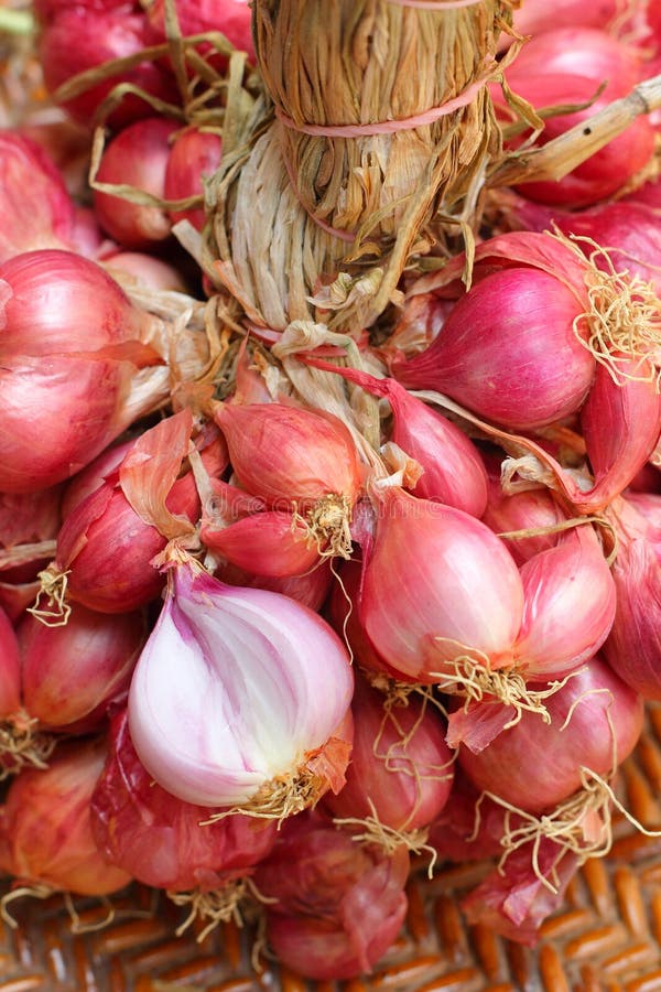 Sjalot - De Rode Ui Van Azië Stock Afbeelding - Image of voedsel, velen ...