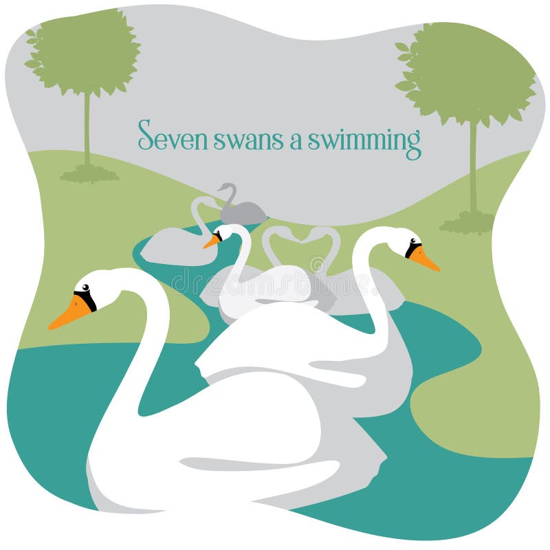Sju Svanar En Simning Tolv Dagar Av Jul Vektor Illustrationer ...