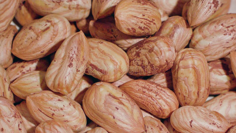 Skalad mandelcloseup fotografering för bildbyråer. Bild av natur ...
