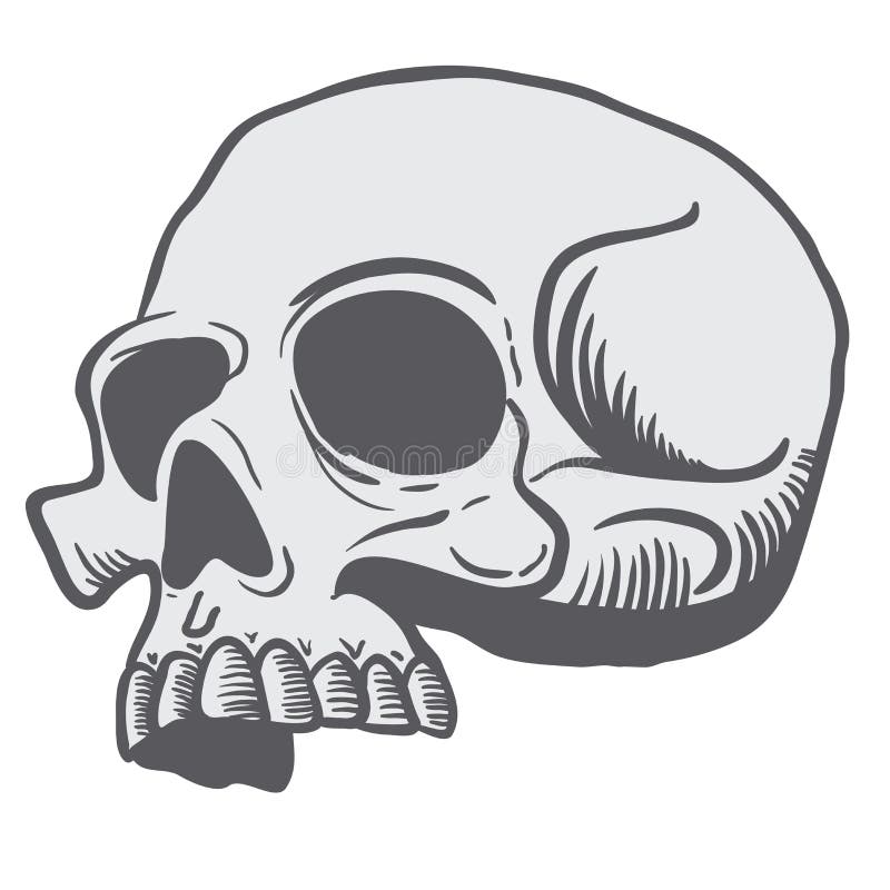 Skalle 3 stock illustrationer. Illustration av fredlös - 104466021