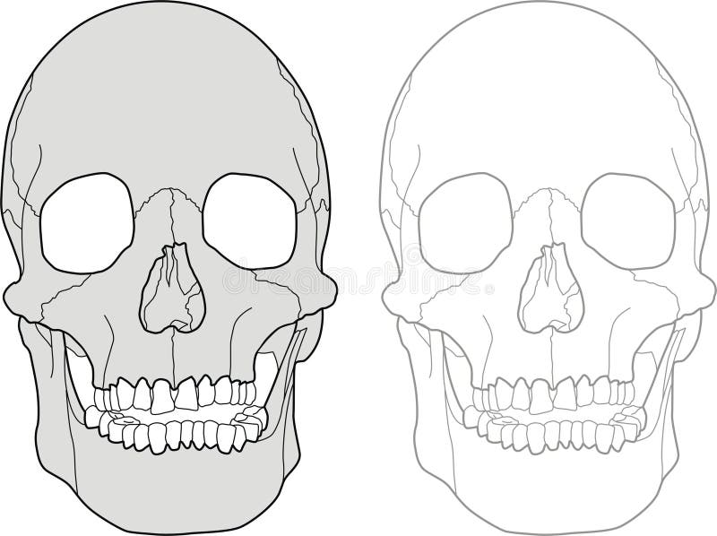 På Sidan Visas Hur Du Lär Dig Att Rita En Skiss Av Det Mänskliga ...