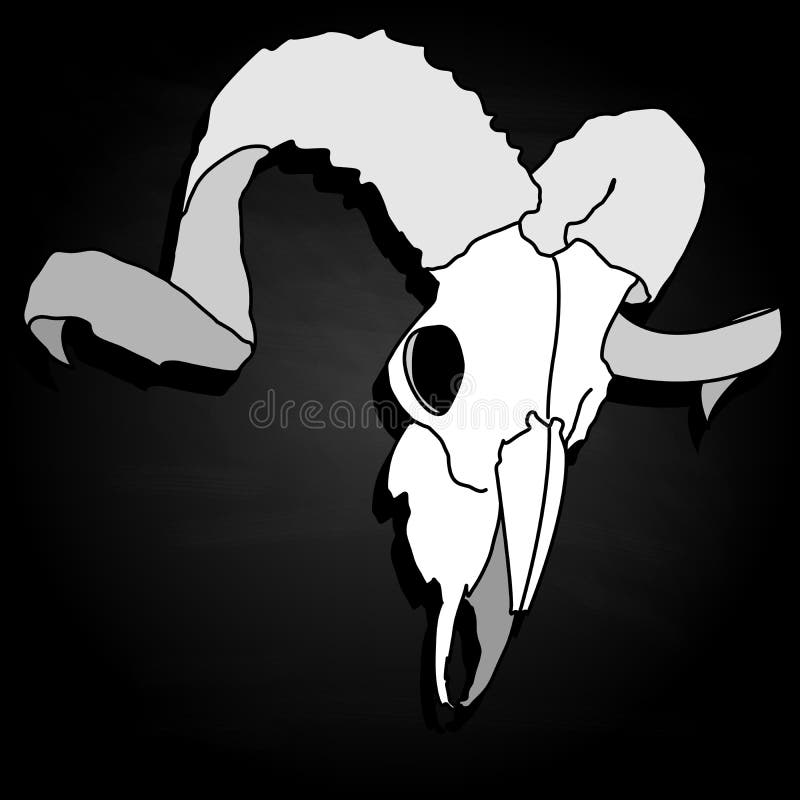 Skalle-hand Dragen Illustration Vektor Illustrationer - Illustration av ...