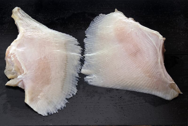 1,683 Skate Fish Stock Photos - Free & Royalty-Free Stock Photos from ...