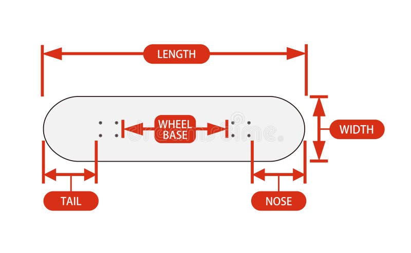 Skateboard Size Chart Vector Illustration Stock Vector - Illustration ...