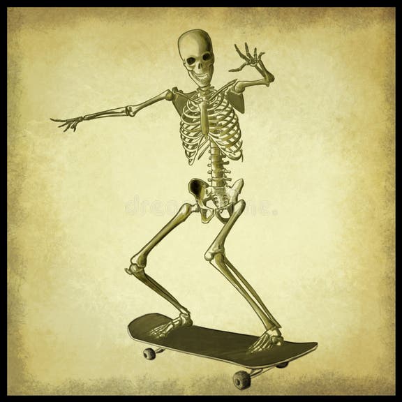 Skater skeleton stock illustration. Illustration of vintage - 48929307