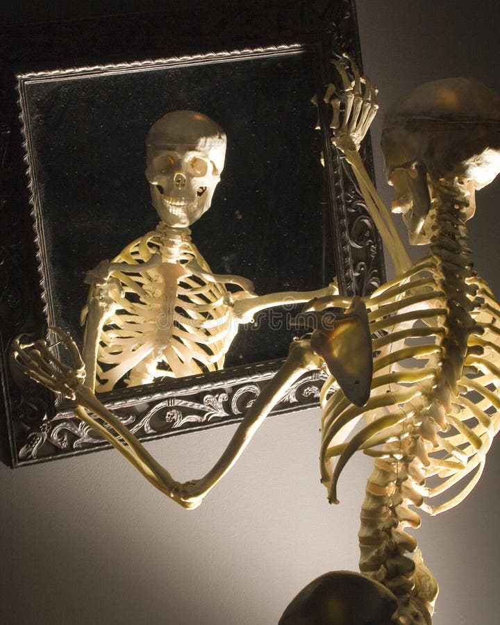 Skelaton stock image. Image of skeleton, halloween, reflection - 35392015