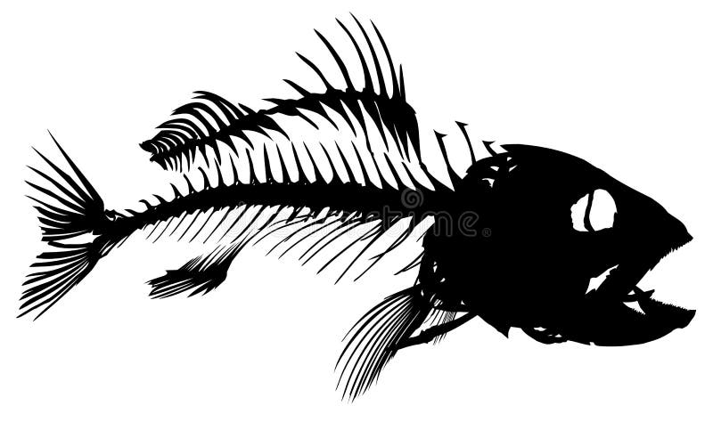 Skelet van vissen vector illustratie. Illustration of silhouet - 74560558