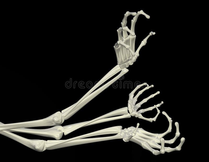 Skeleton Reaching Stock Illustrations – 122 Skeleton Reaching Stock ...