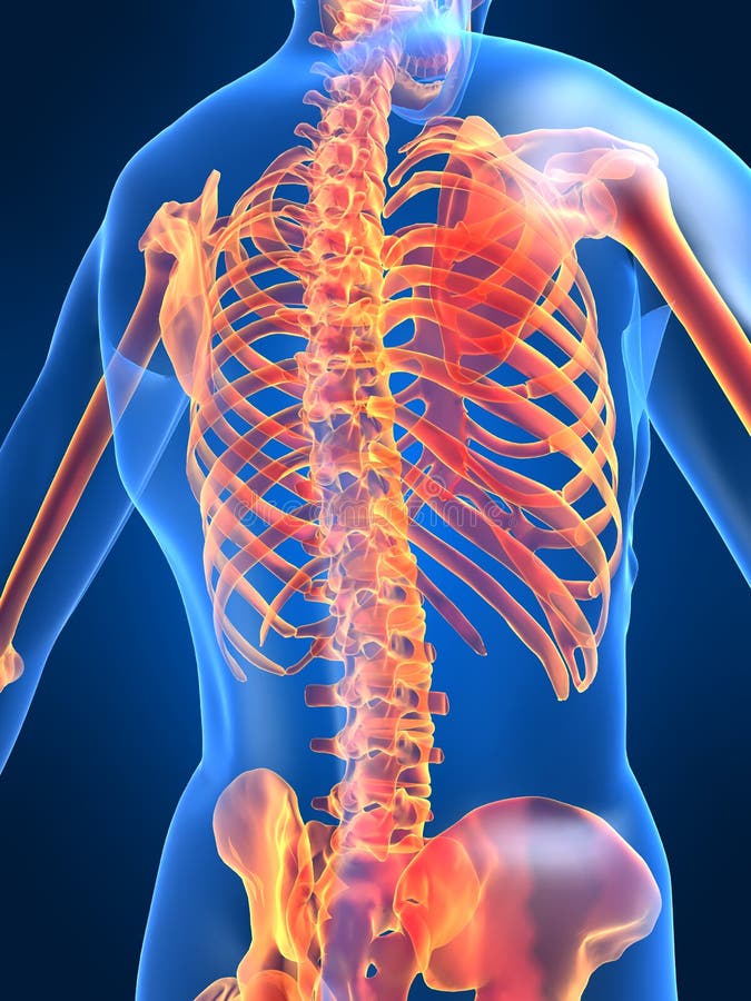 Painful back stock illustration. Illustration of pain - 4129579