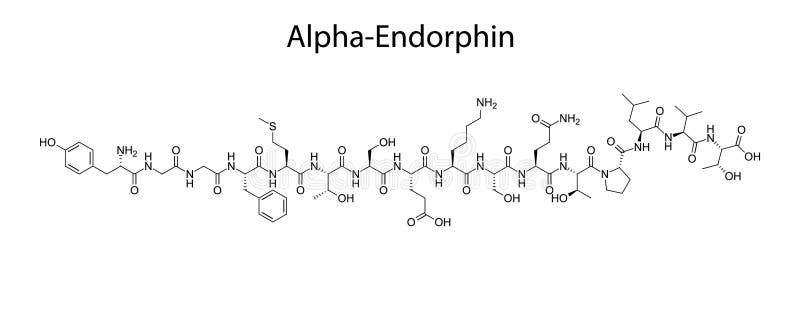 Endorphin Chemical Structure