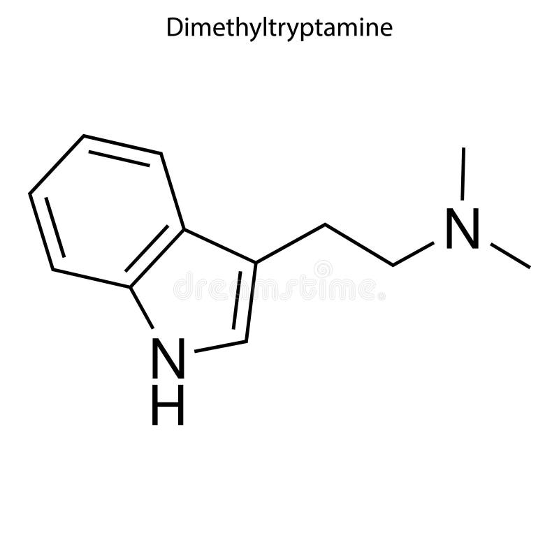 DMT, Dimethyltryptamine, Skeletal Formula and Structure Stock Vector ...