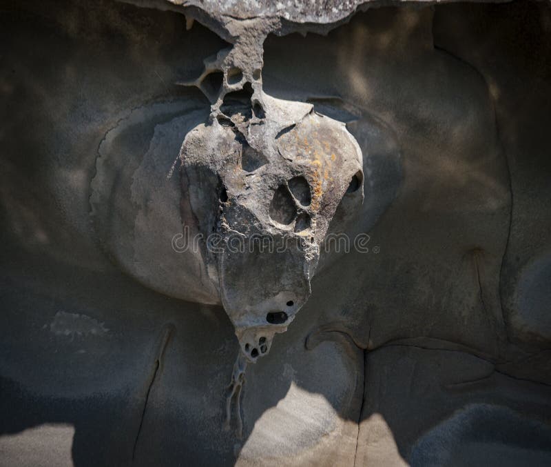 Skeletal Rock Formation stock image. Image of unreal - 101738097