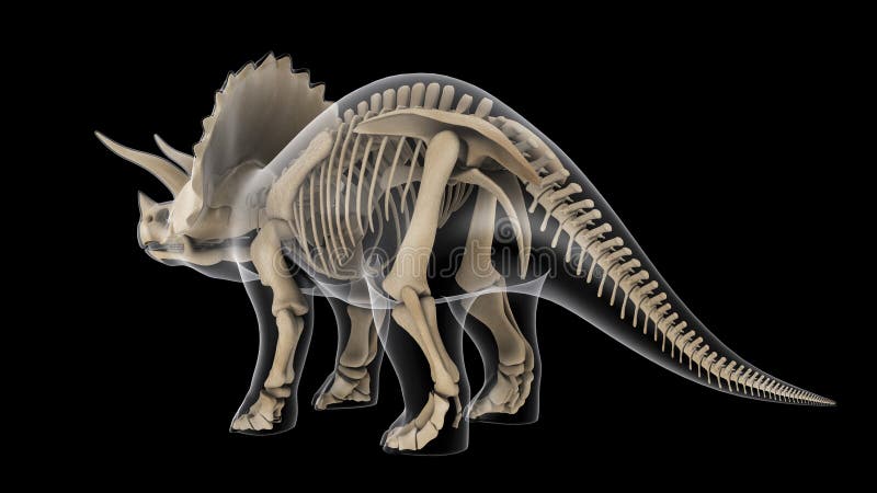 Dinosaur rib cage stock photo. Image of bone, prehistory - 9498712