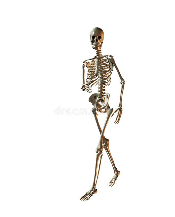 Laughing Skeleton Stock Illustrations – 782 Laughing Skeleton Stock ...