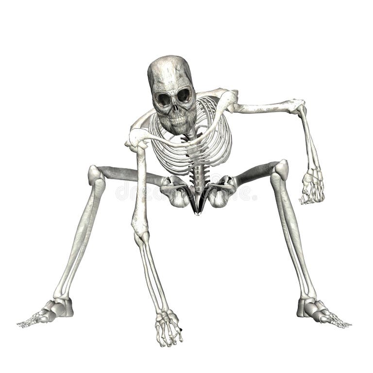 Crawling Skeleton Stock Illustrations – 48 Crawling Skeleton Stock ...