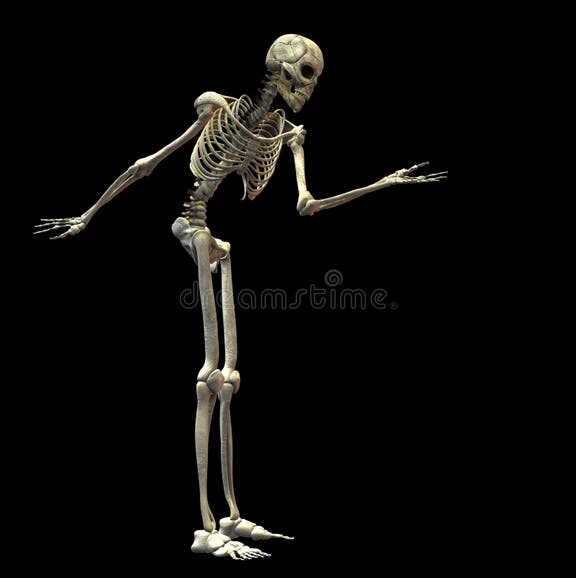 Laughing Skeleton Stock Illustrations – 782 Laughing Skeleton Stock ...