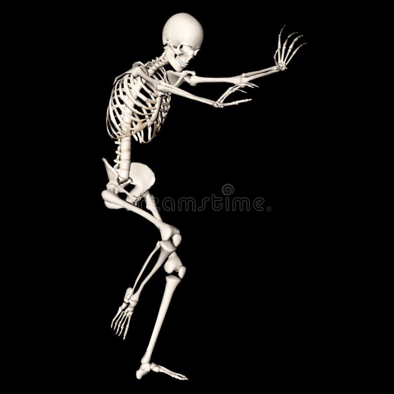 Skeleton fighting stock illustration. Illustration of bones - 13169323