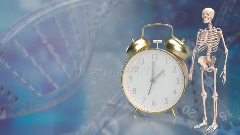 The Skeleton and Alarm Clock for Sci or Medical Concept 3d Rendering ...
