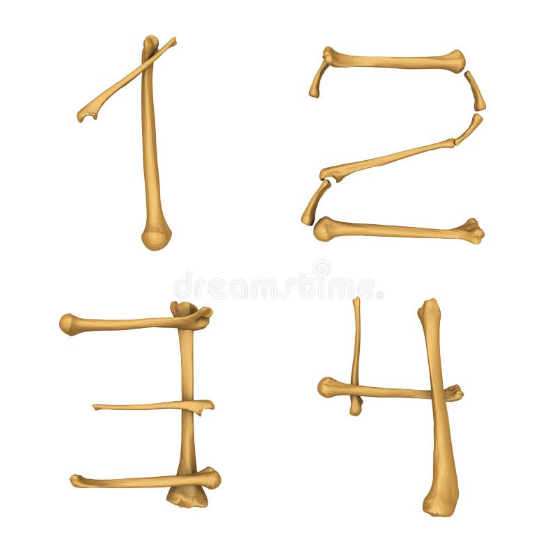 Number 2 Skeleton. Bones Font Two. Anatomy Of An Alphabet Symbol Stock ...