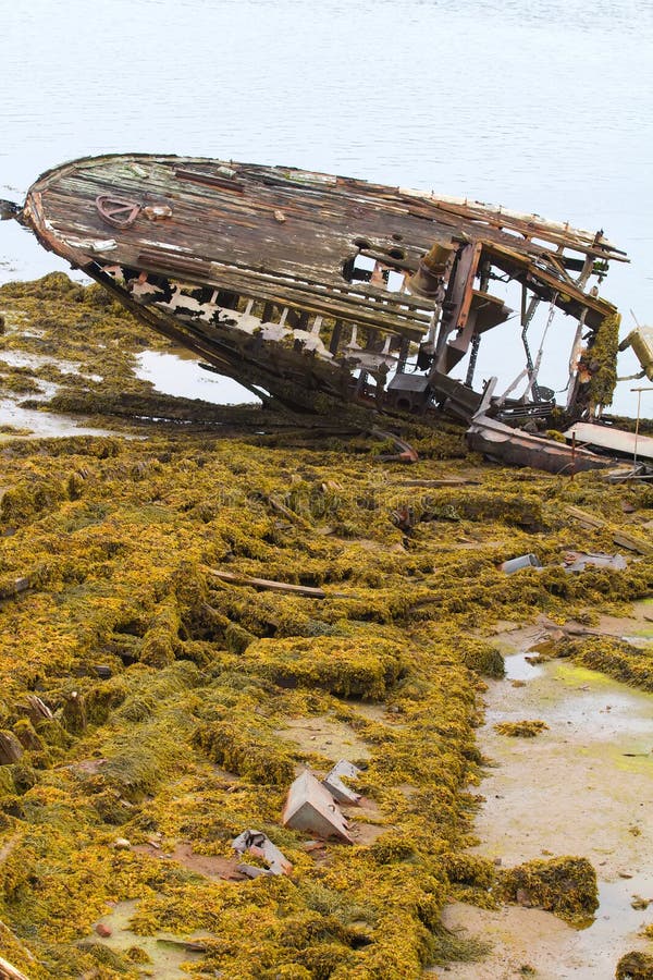 Skeleton of an Ancient Ship after Crash Stock Photo - Image of ...