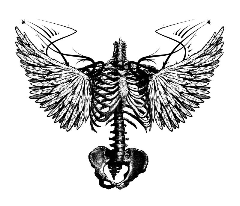 Skeleton angel stock illustration. Illustration of death - 4503258