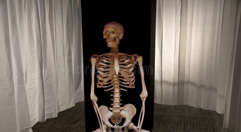 Skeleton on the stage l stock image. Image of death - 109118885