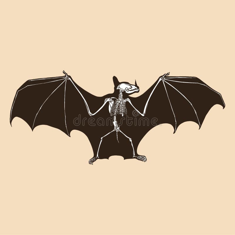Skeleton Bat Vector Illustration Stock Vector - Illustration of monster ...