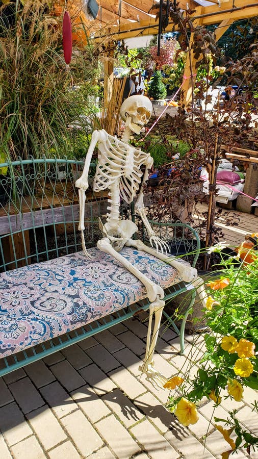 Skeleton on a Bench in Park Stock Image - Image of medical, leaf: 213493857