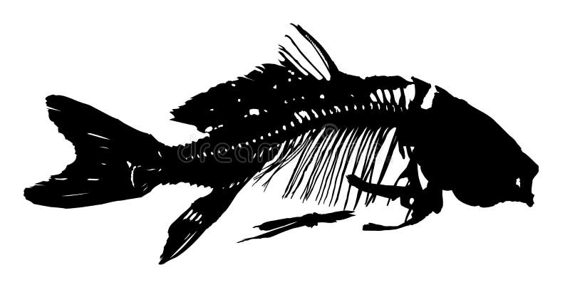 A Skeleton of big fish. stock vector. Illustration of bones - 223782431