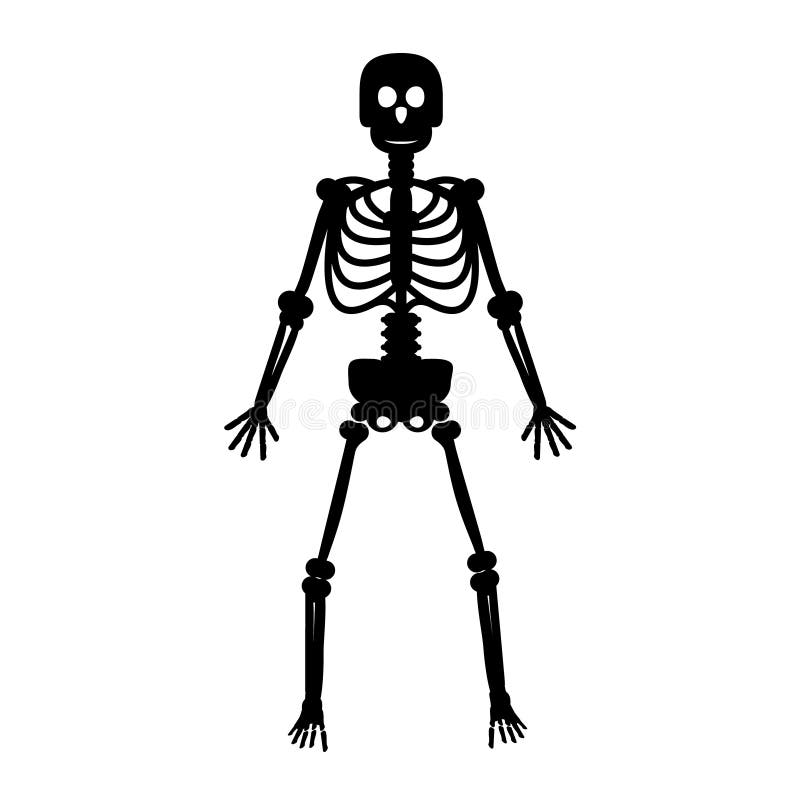 Human bones, on black stock vector. Illustration of painting - 17326987