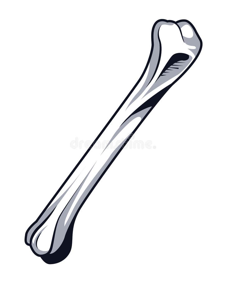 Skeleton bone drawn stock vector. Illustration of skeleton - 212431537